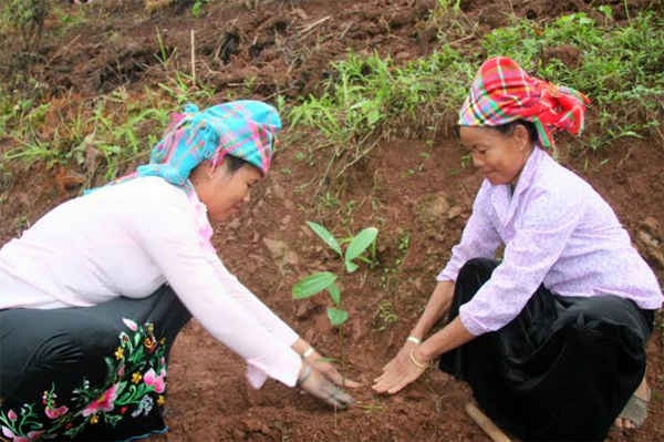 Lai Châu sau 4 năm thực hiện chính sách chi trả DVMTR