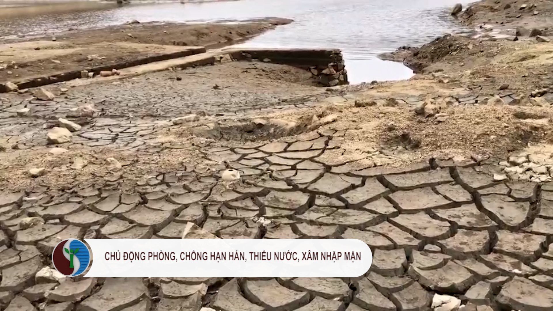 Chủ động phòng, chống hạn hán, thiếu nước, xâm nhập mặn