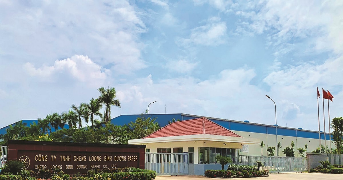 CHENG LOONG Bình Dương Paper: Doanh nghiệp kinh doanh xanh, bền vững